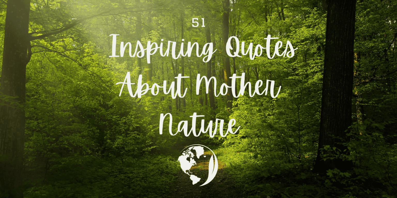 51 Quotes About Mother Nature To Inspire Your Connection To The Natural ...