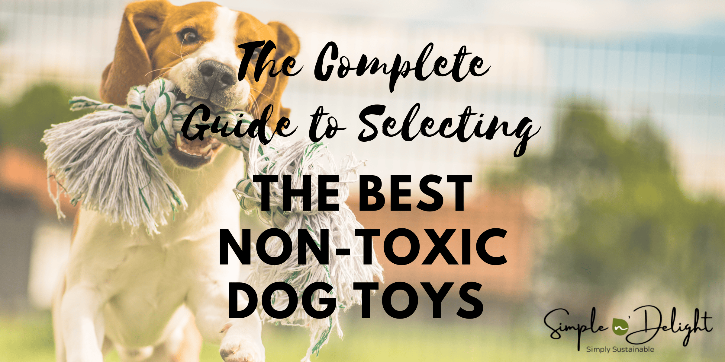 Safe And Non-Toxic Dog Toys: A Comprehensive Guide For Stress-Free ...