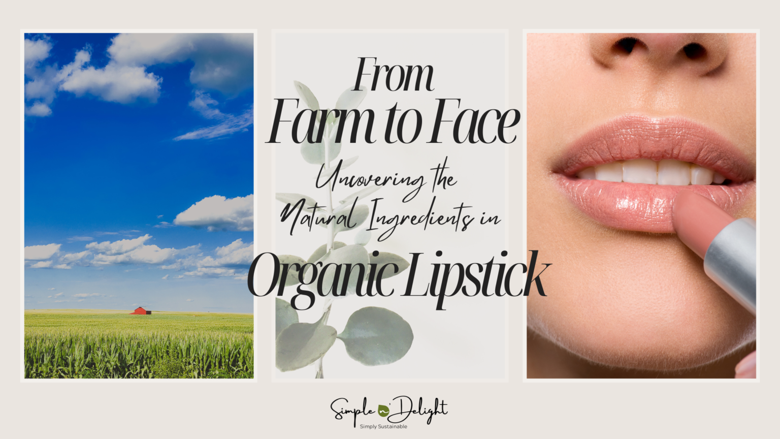 From Farm To Face: Uncovering Natural Ingredients In The Best Organic ...