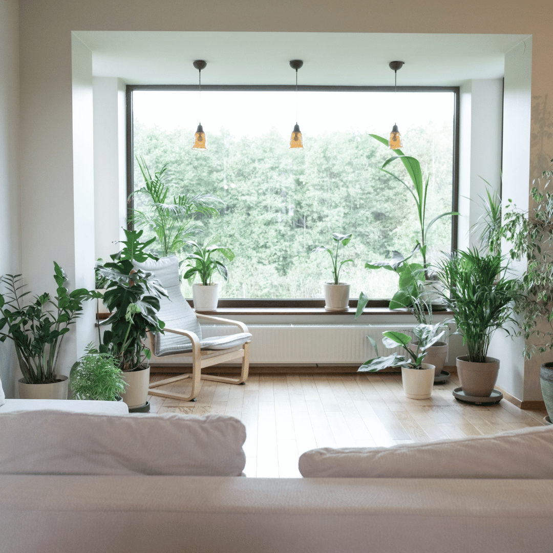DIY Biophilic Design: Create Your Nature-Inspired Sanctuary - Simple N ...